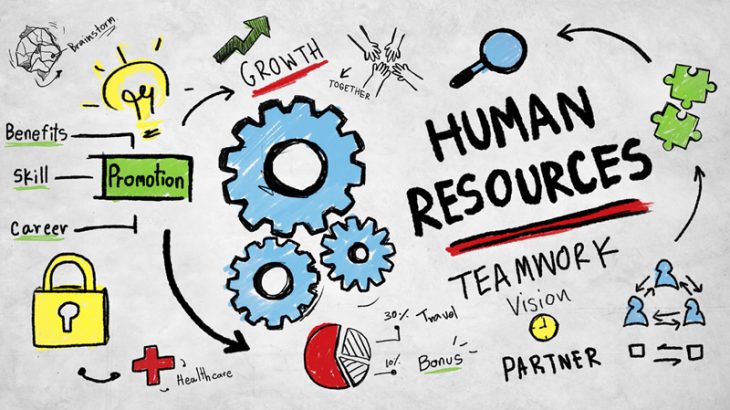A Comprehensive Guide to Human Resources Management: What it is and How ...