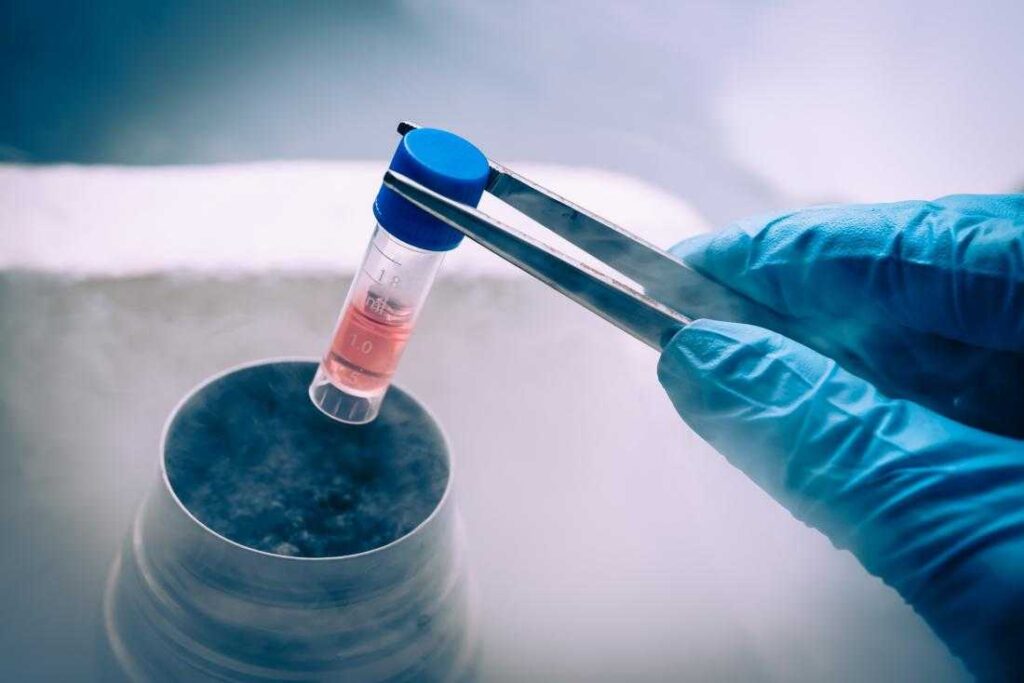 The Facts Behind Stem Cell Therapy – Art Speak China